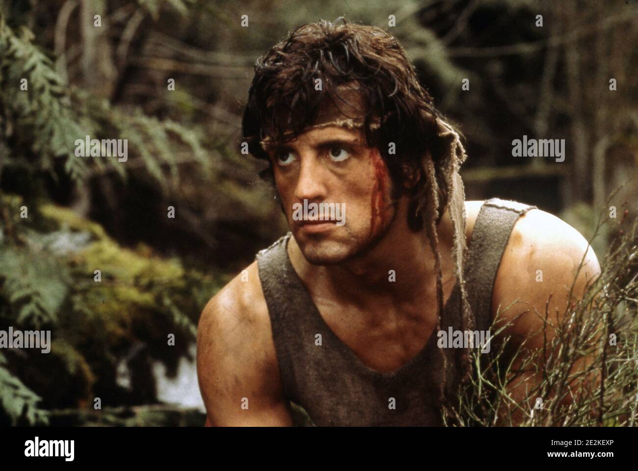 First blood 1982 hi-res stock photography and images - Alamy