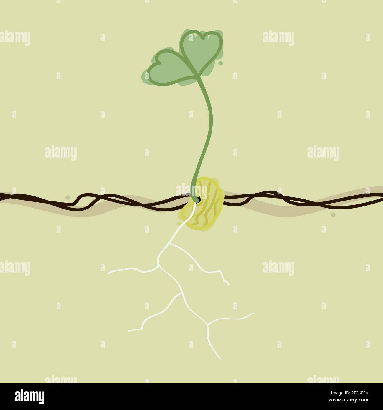 Bean growing Stock Vector Images - Alamy