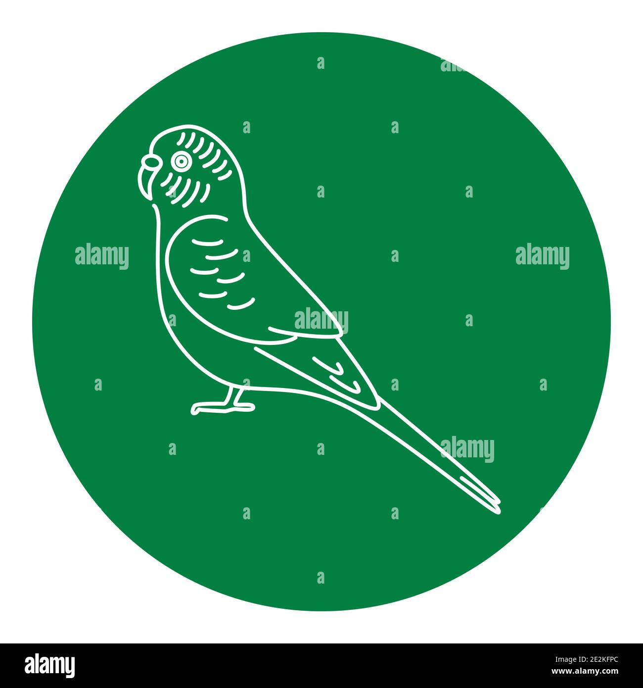 Budgerigar or budgie parrot icon in thin line style. Australian ...