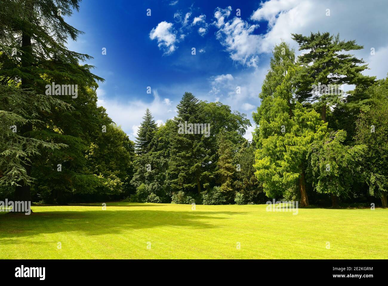 Picturesque landscape of bright sunny meadow in summer park Stock Photo ...