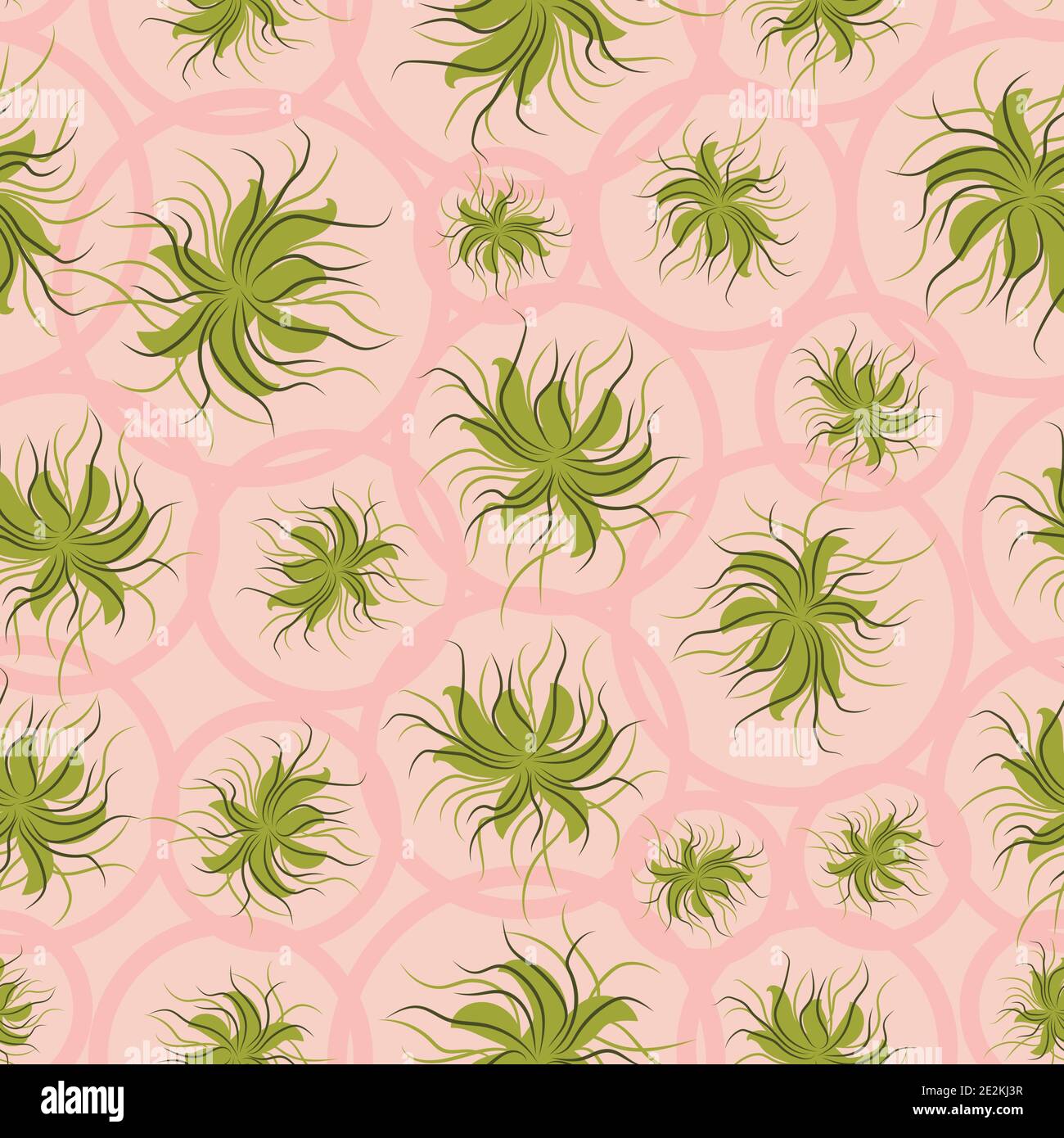 Airplants Stock Vector Images - Alamy