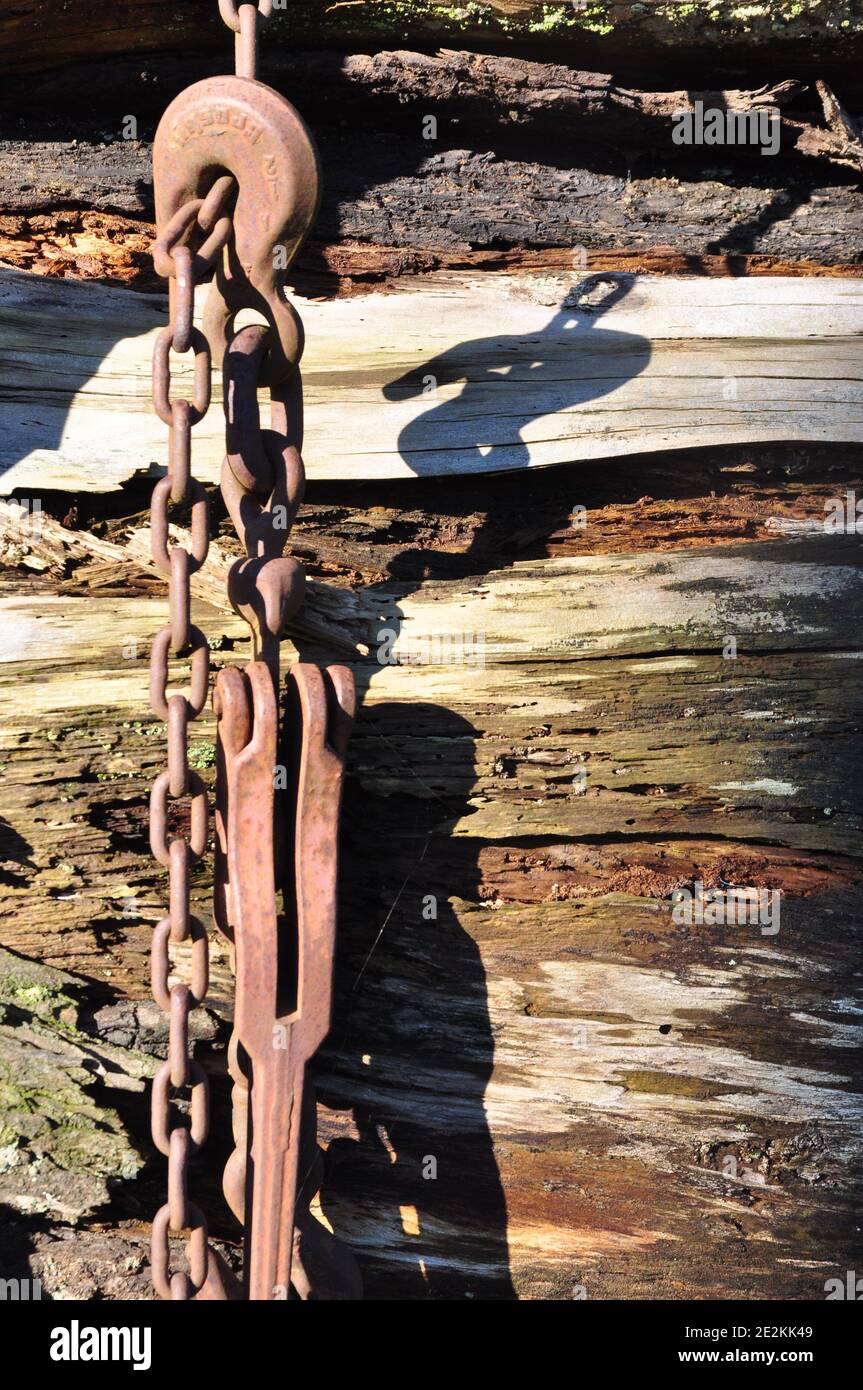 old rusty metal with mold decomposing to age Stock Photo - Alamy