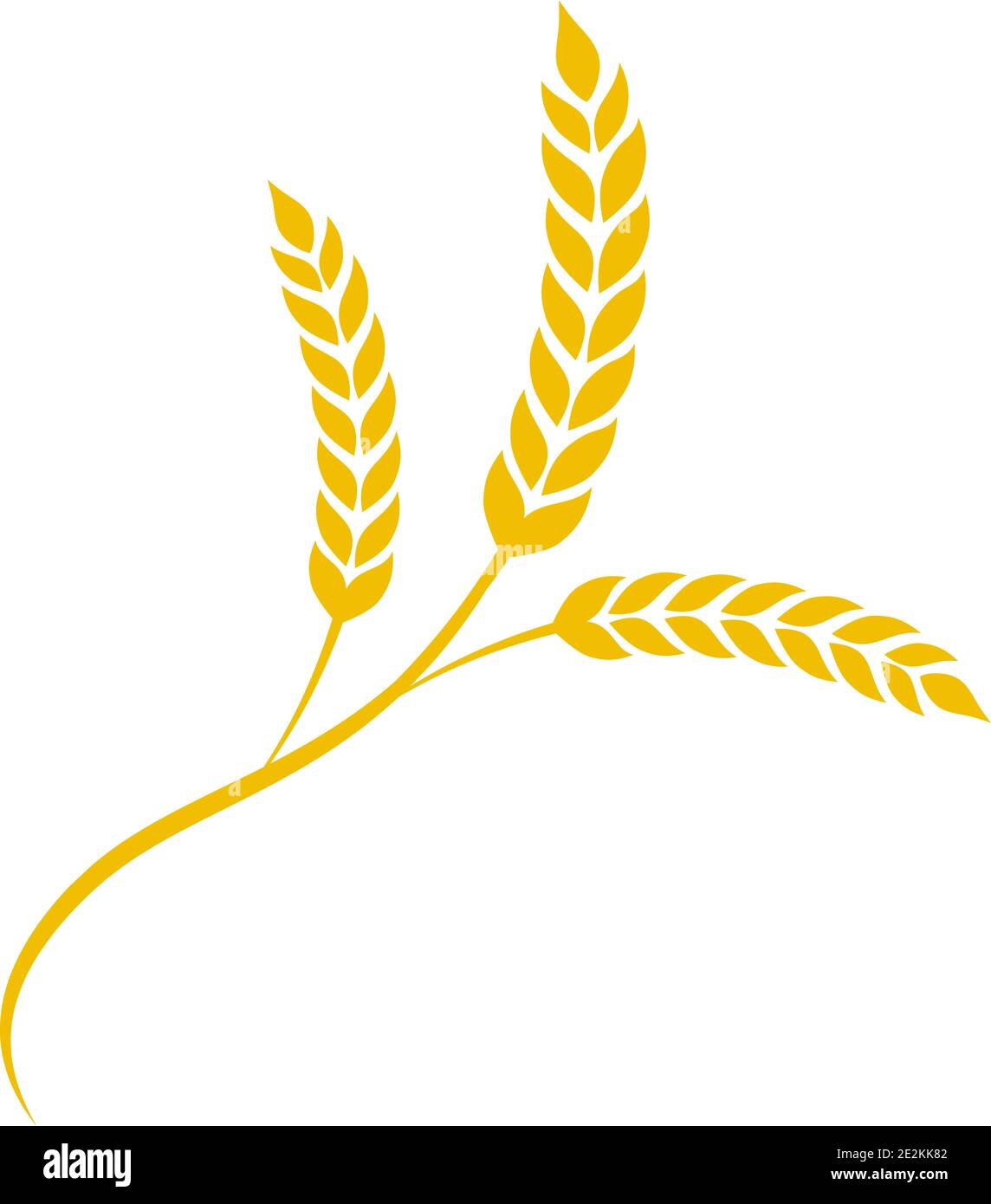 Ear wheat in field Stock Vector Images - Alamy