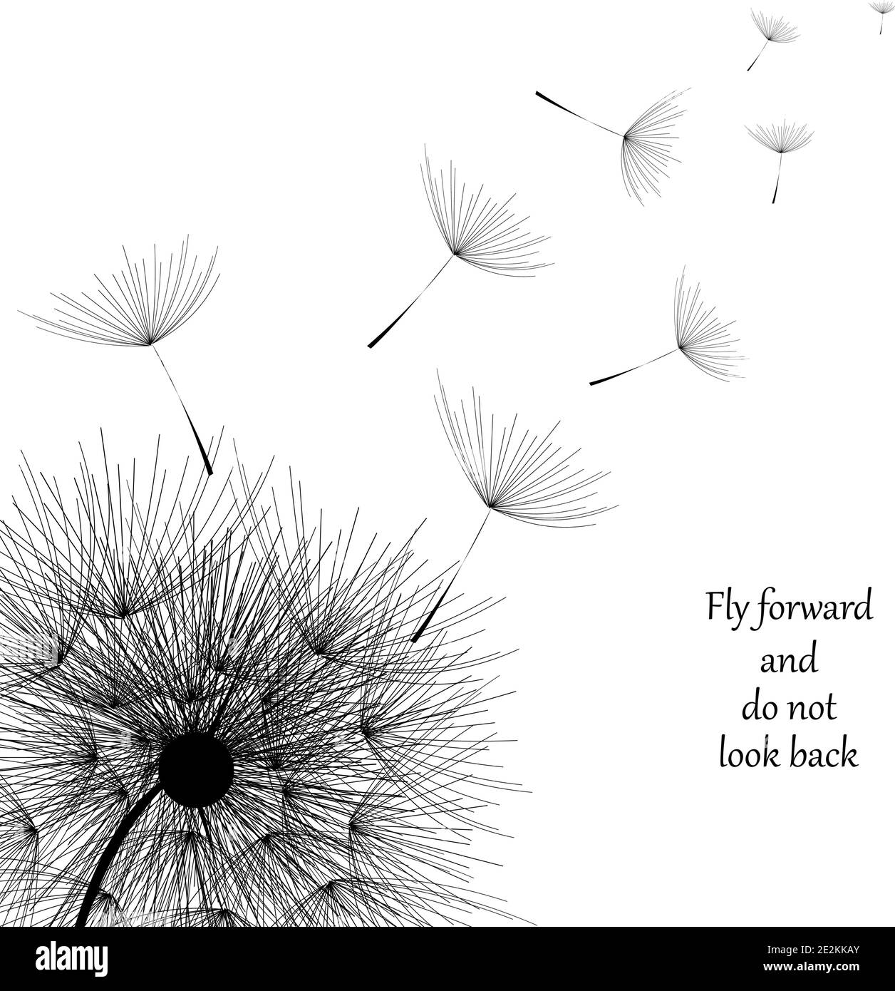 Dandelionflower vector vectors hi-res stock photography and images - Alamy