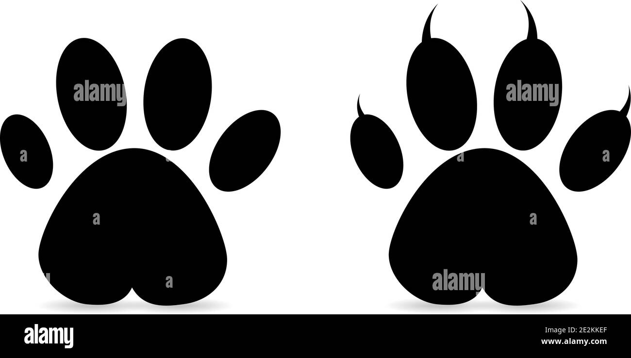 Set of paw prints Stock Vector Image & Art - Alamy