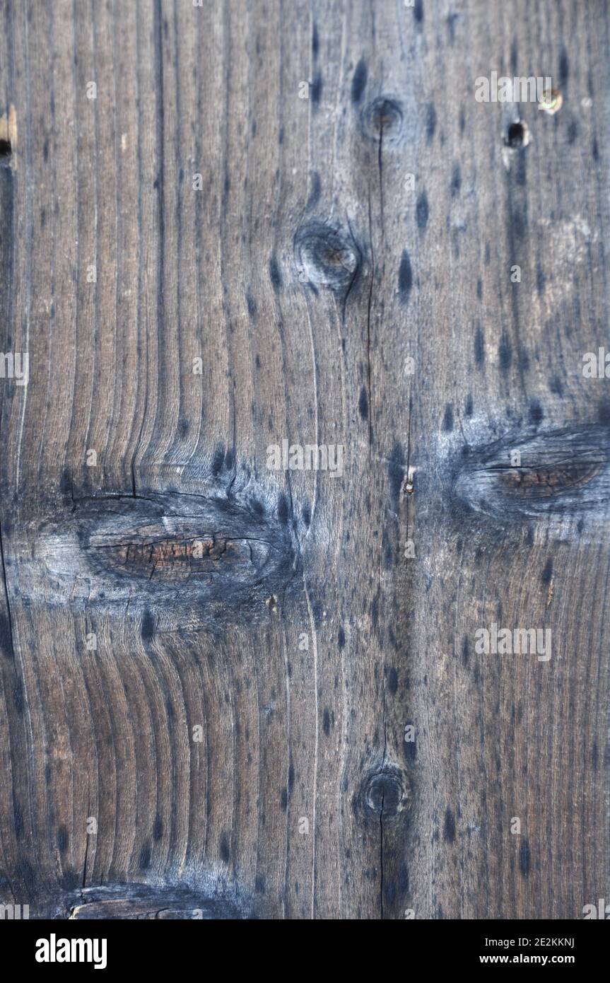 Wood with texture, patterns and mold Stock Photo - Alamy