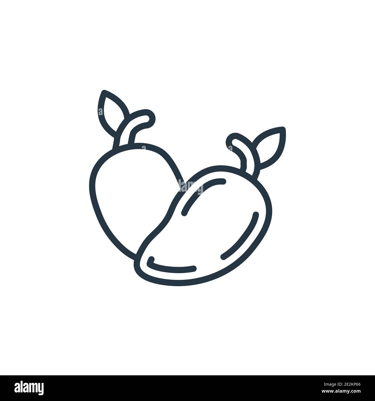 Mango outline vector icon. Thin line black mango icon, flat vector ...