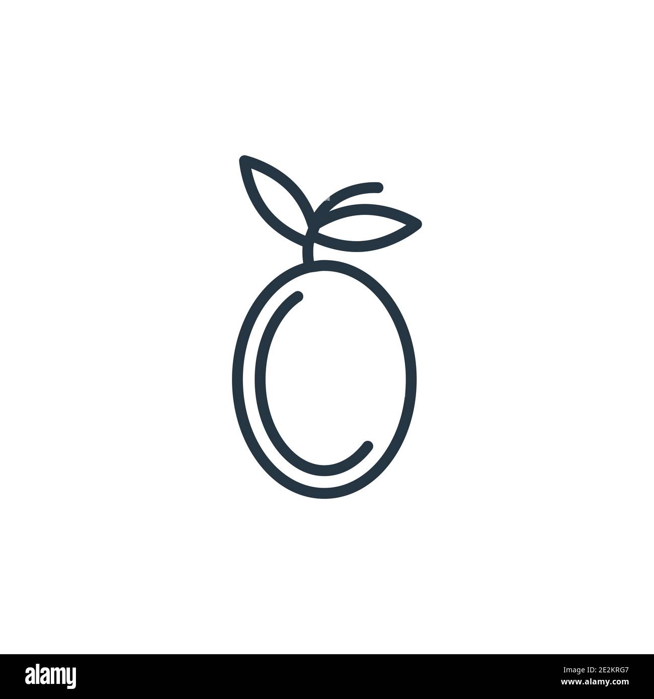 Plum outline vector icon. Thin line black plum icon, flat vector simple ...