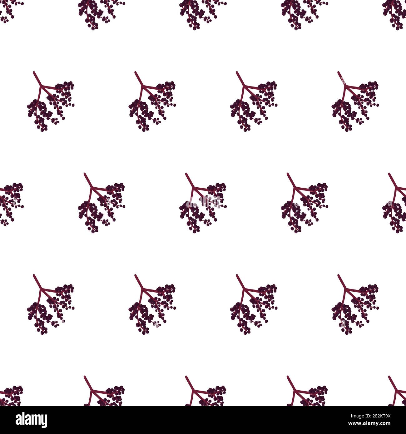 Elderberries seamless pattern for wallpaper design. Vintage botanical illustration. Healthy food ...