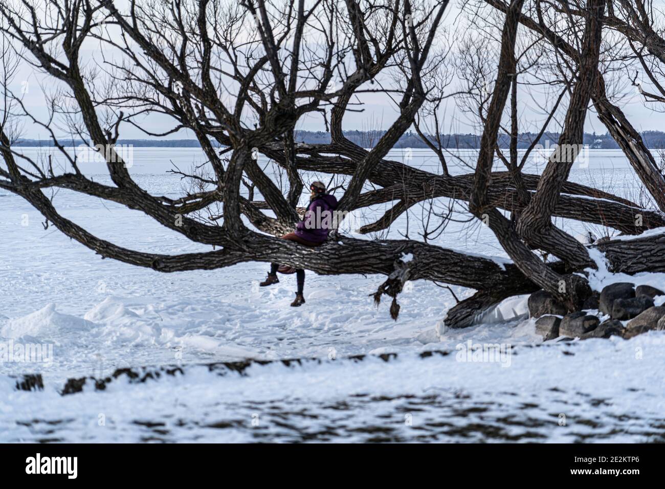 Person in tree hi-res stock photography and images - Alamy