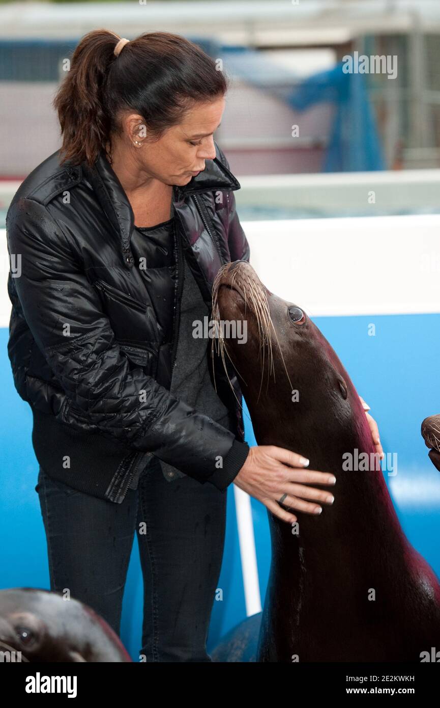 Princess Stephanie of Monaco poses with sea lions of The Duss Family in ...