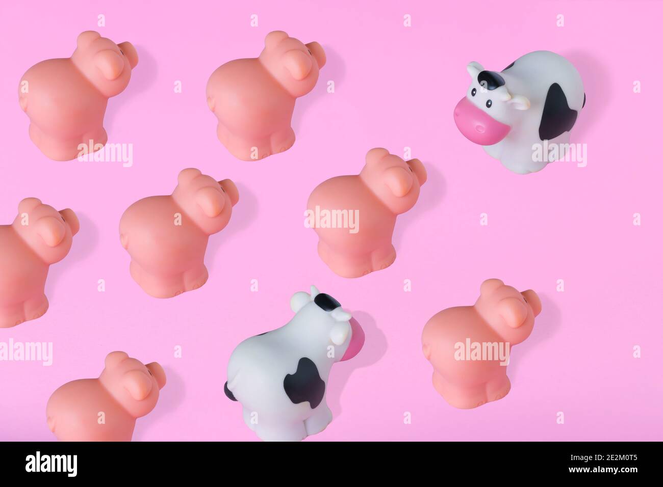 One main cow in front of several small cute pigs and one cow on pastel ...