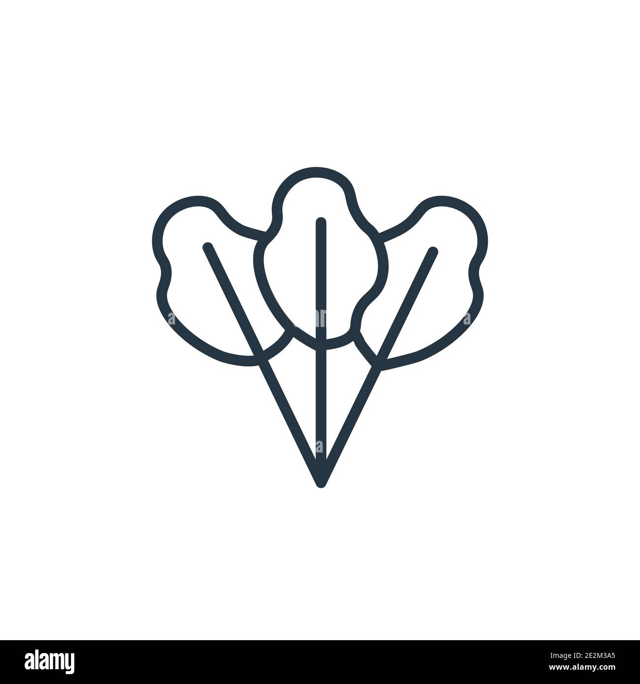 Lettuce outline vector icon. Thin line black lettuce icon, flat vector ...