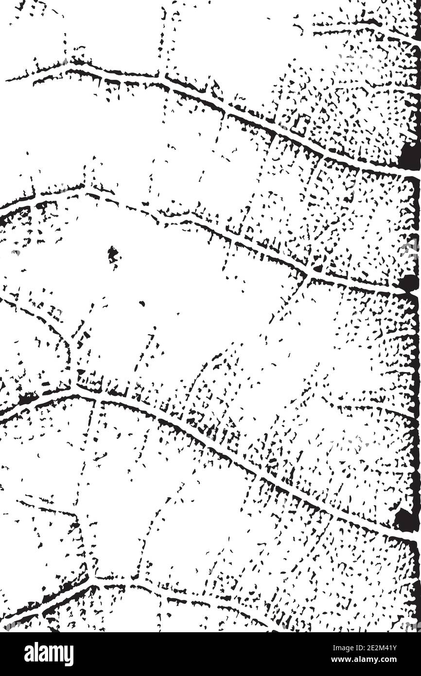 Overlay of skeleton hi-res stock photography and images - Alamy