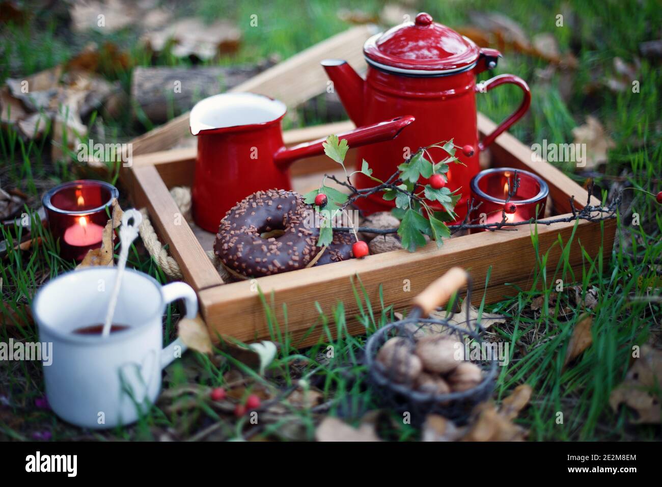 picnic in the forest. tea and donuts. fall and relax Stock Photo - Alamy