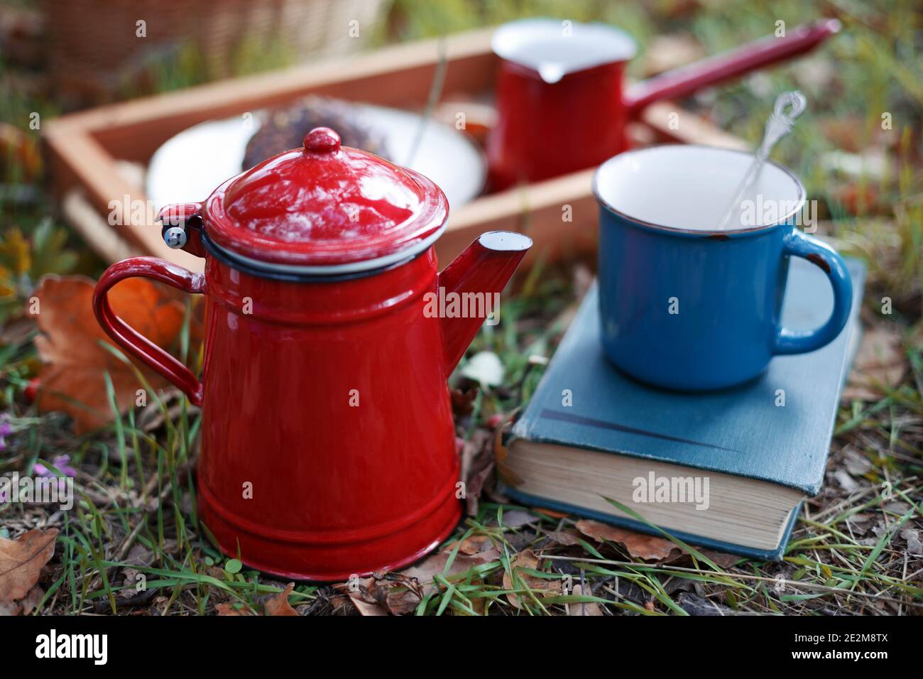 picnic in the forest. tea and donuts. fall and relax Stock Photo - Alamy