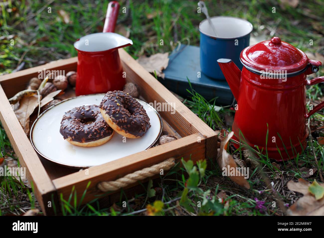 picnic in the forest. tea and donuts. fall and relax Stock Photo - Alamy
