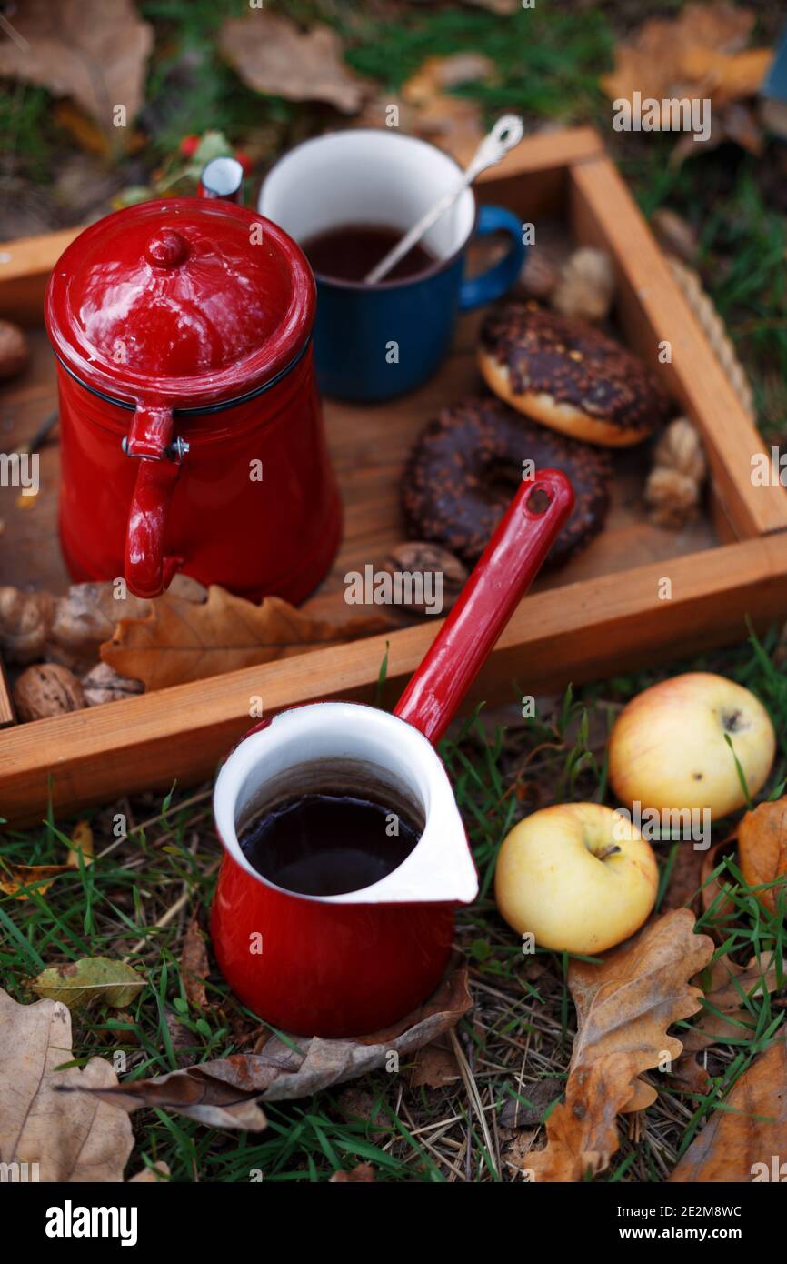 picnic in the forest. tea and donuts. fall and relax Stock Photo - Alamy
