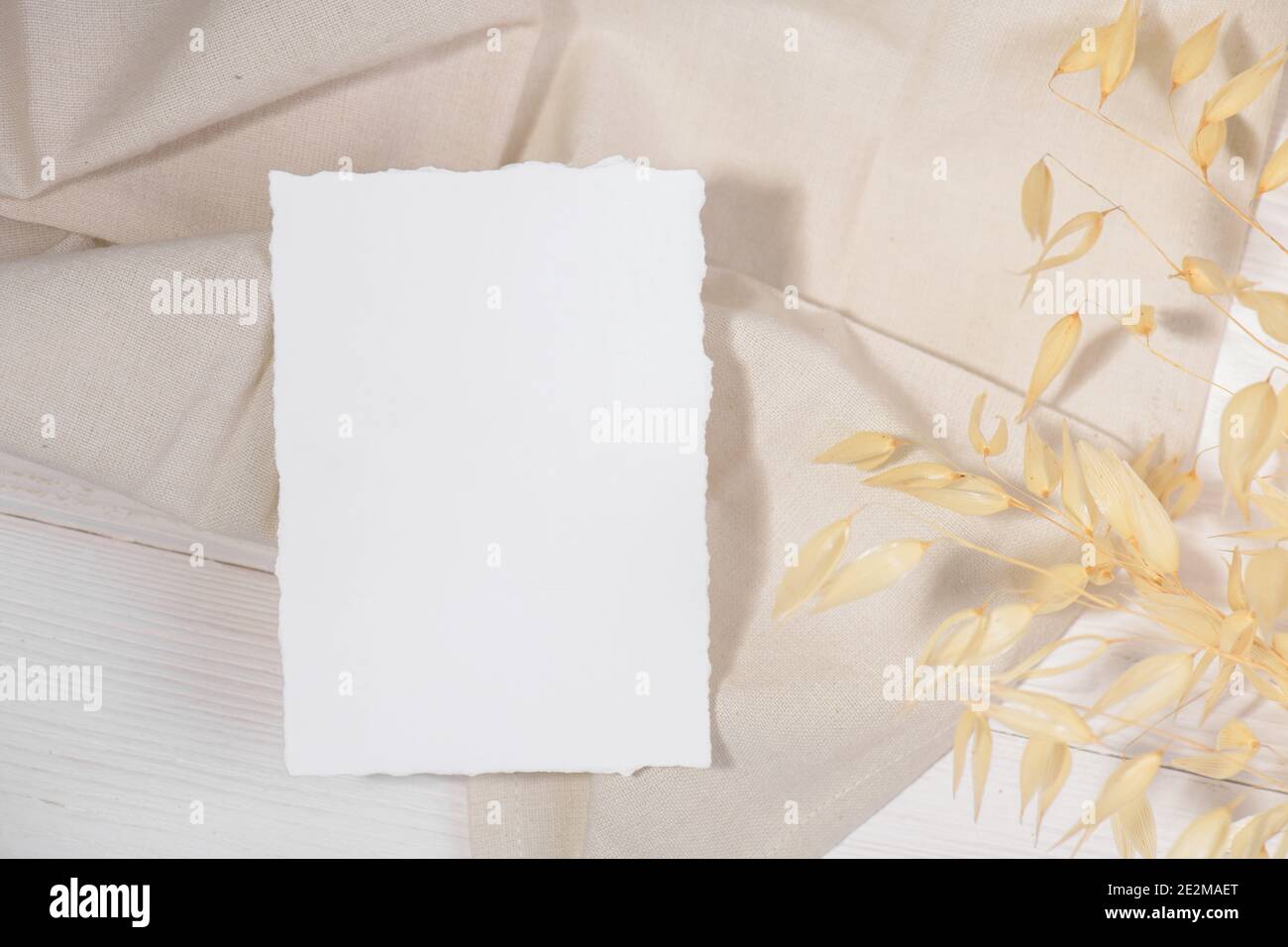 5x3,5 Card mockup template, empty stationery card with dry plants Stock ...