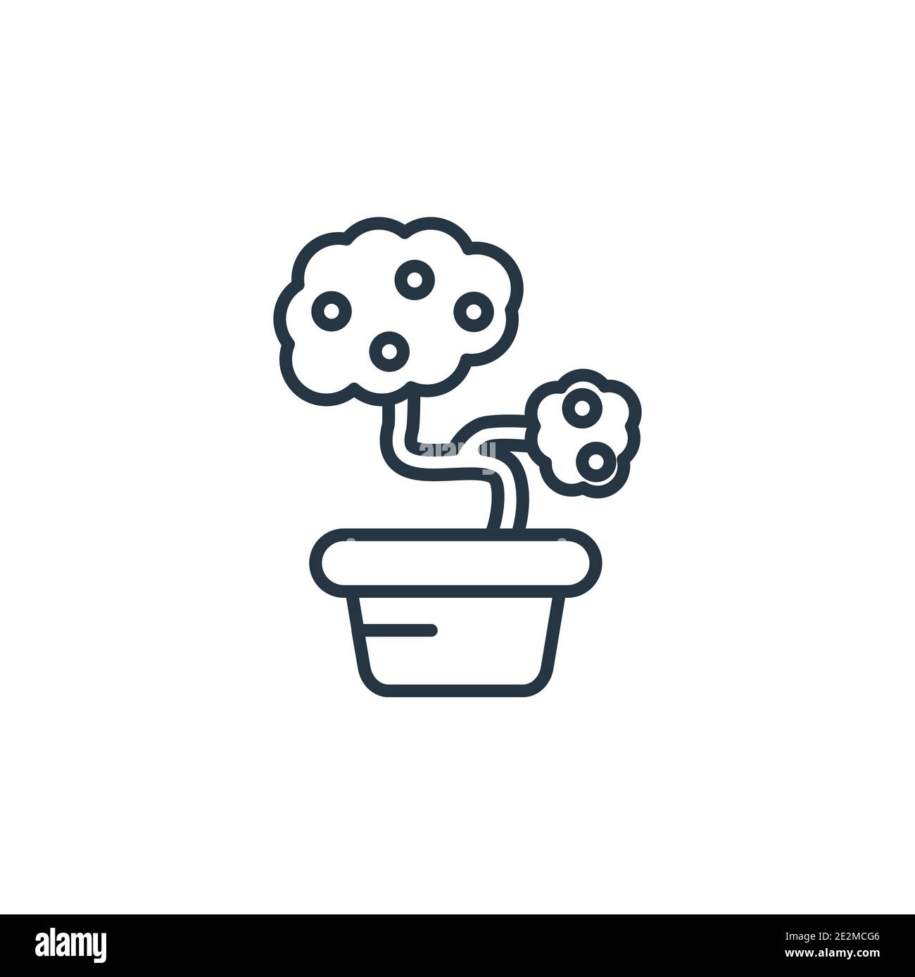 Bonsai outline vector icon. Thin line black bonsai icon, flat vector ...