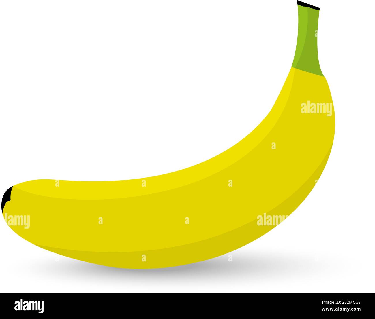 Vector banana. Fresh banana on white background Stock Vector Image ...