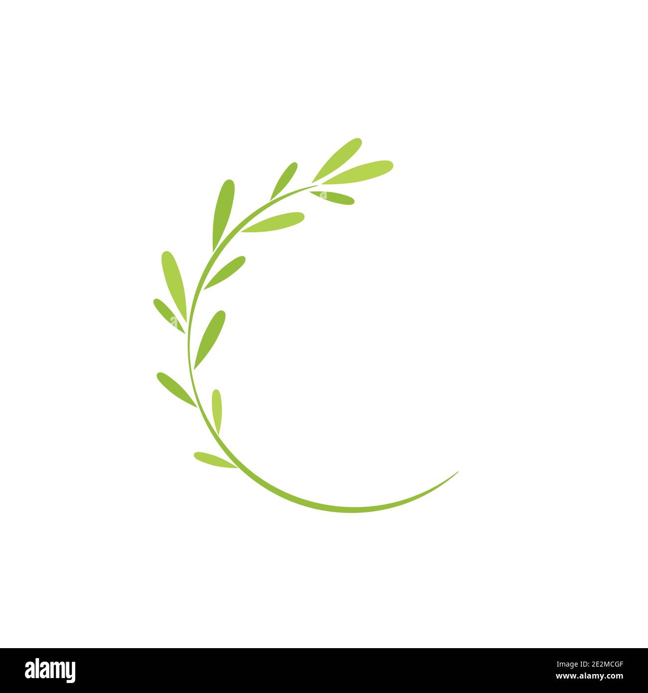 Green curved sprig isolated on white. Round border with leaves. Flat ...