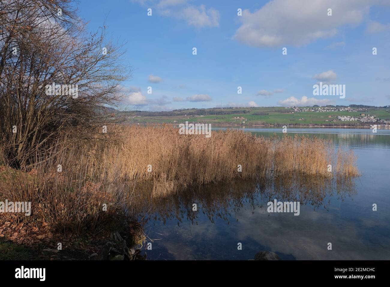 Horizontal shot of the Sempach lake in Switzerland in autumn, with ...