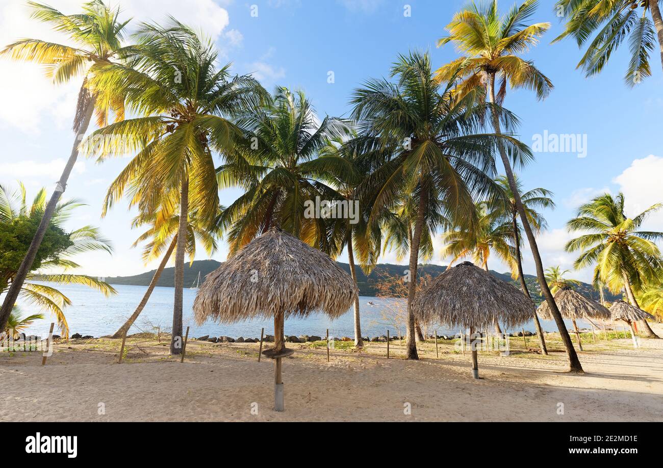 Beautiful beach martinique hi-res stock photography and images - Alamy