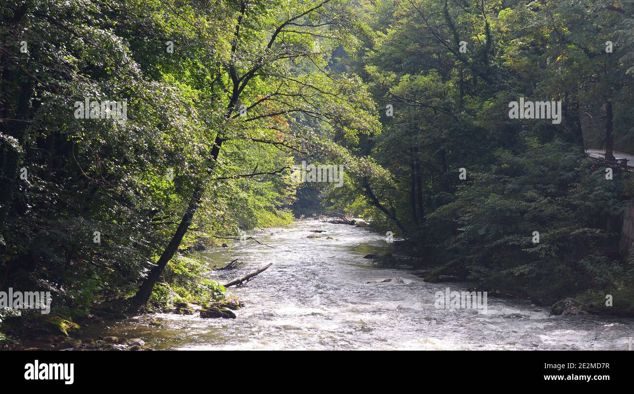 Cerna river hi-res stock photography and images - Alamy