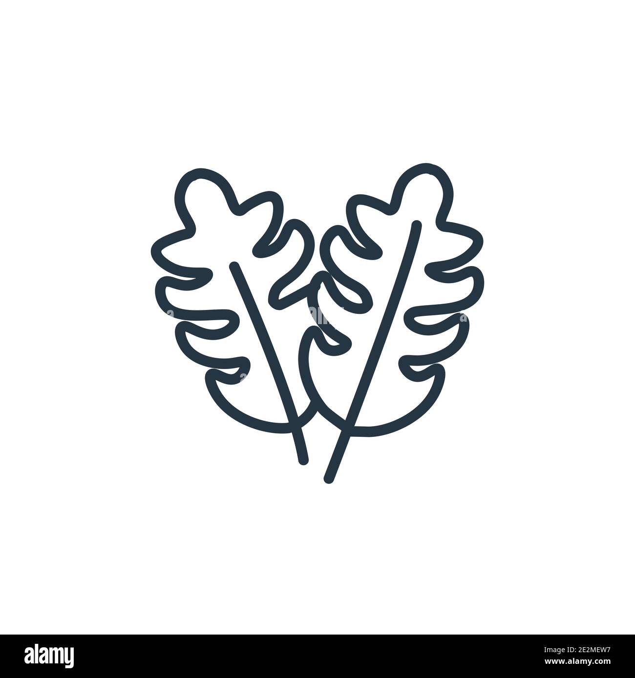 Arugula outline vector icon. Thin line black arugula icon, flat vector simple element ...