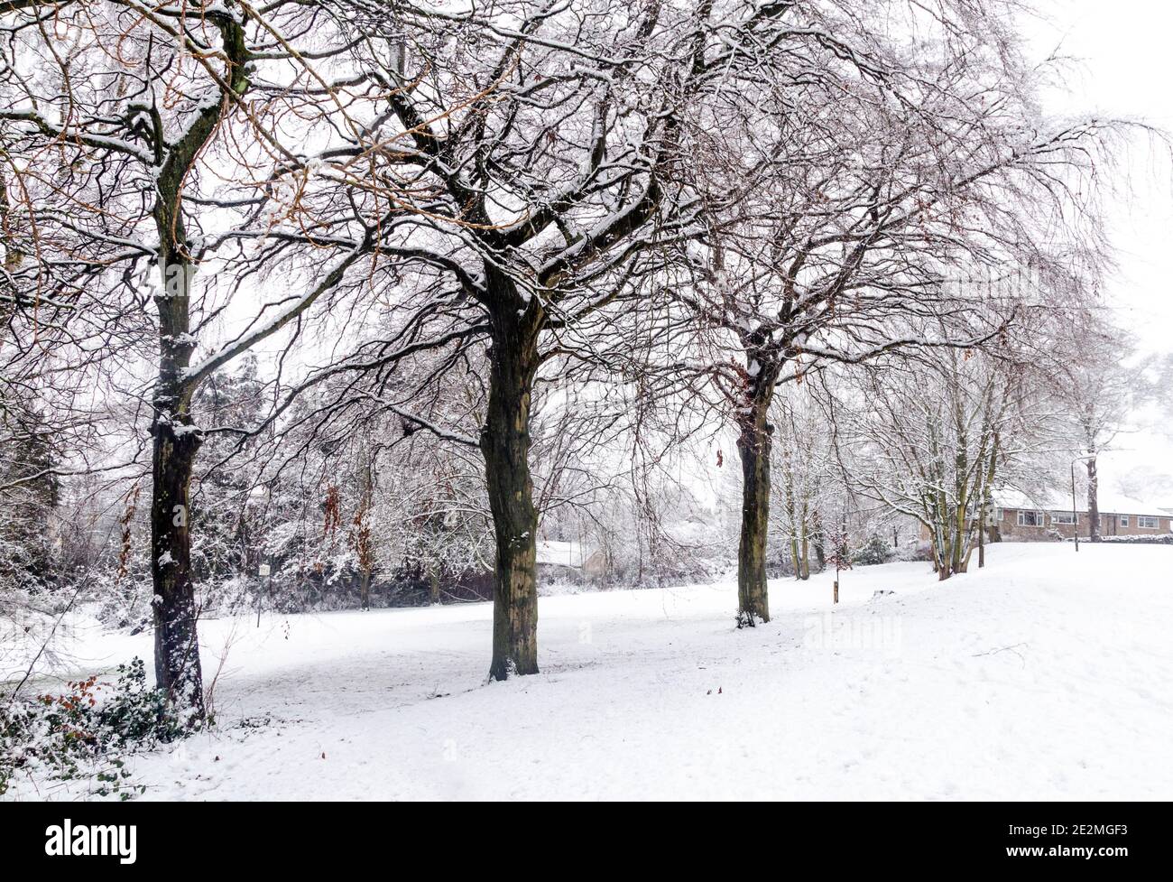 Snow covered trees in Baildon, Yorkshire, England Stock Photo - Alamy