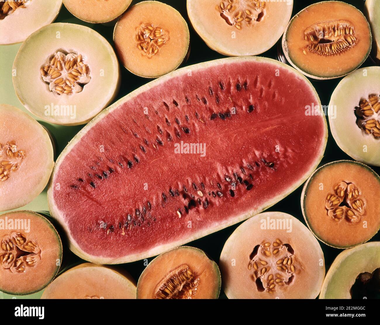 1980s ASSORTED MELONS A WATERMELON CANTALOUPES HONEYDEWS AND CASABAS ...