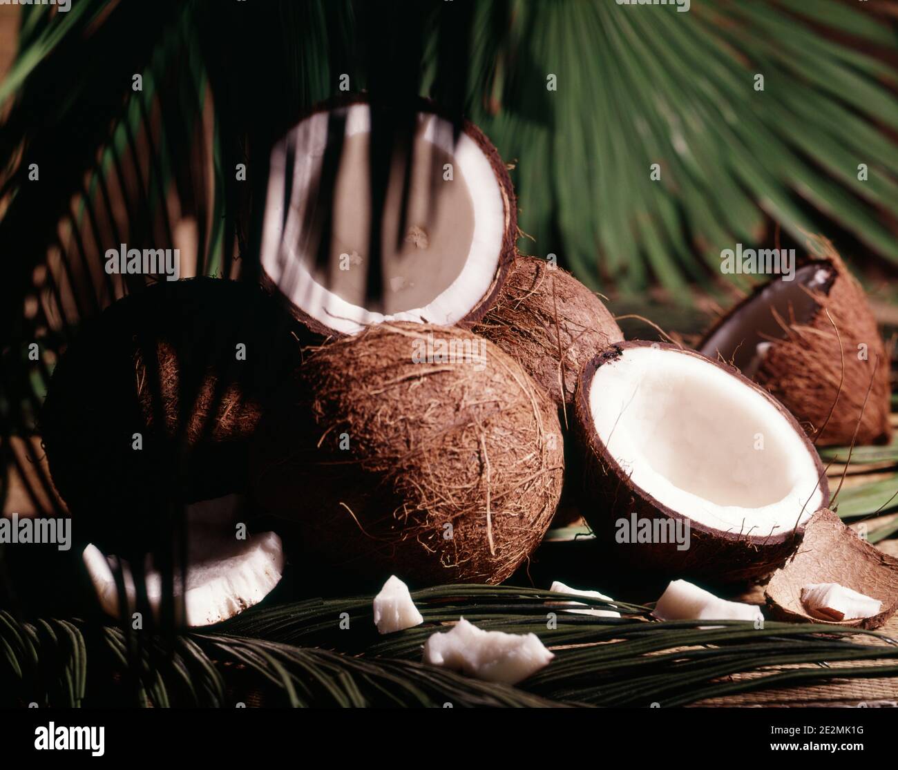 Split palm leaves hi-res stock photography and images - Alamy