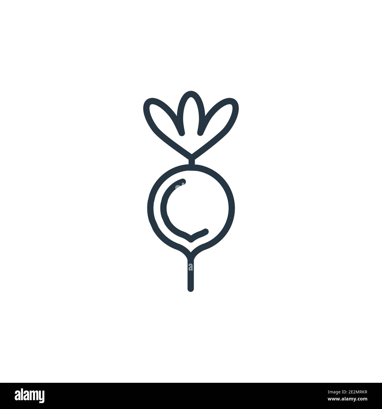 Radish outline vector icon. Thin line black radish icon, flat vector ...