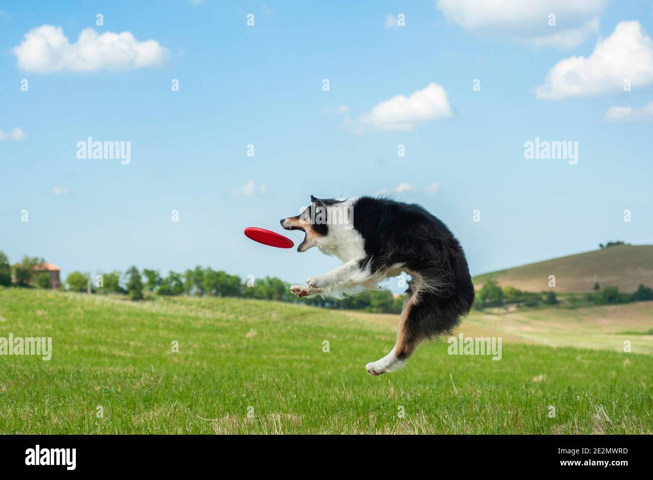 Flying disc hi-res stock photography and images - Alamy
