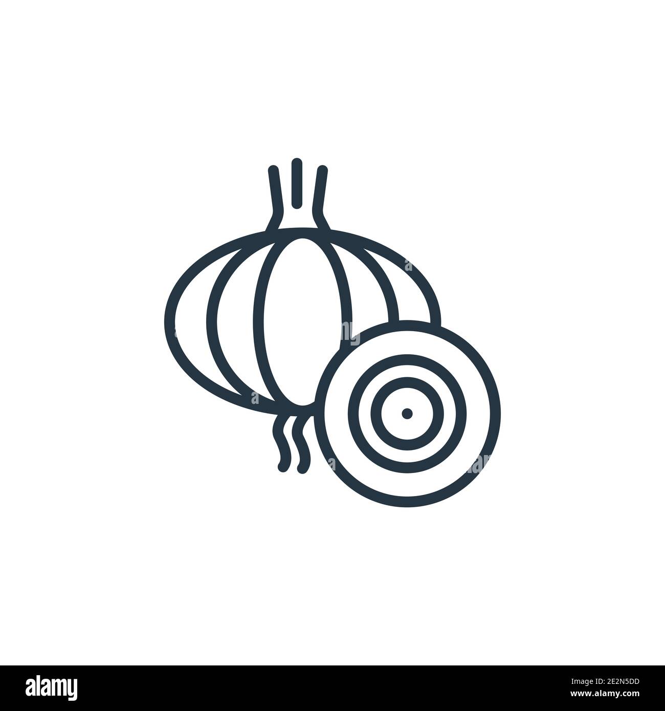 Onion outline vector icon. Thin line black onion icon, flat vector ...
