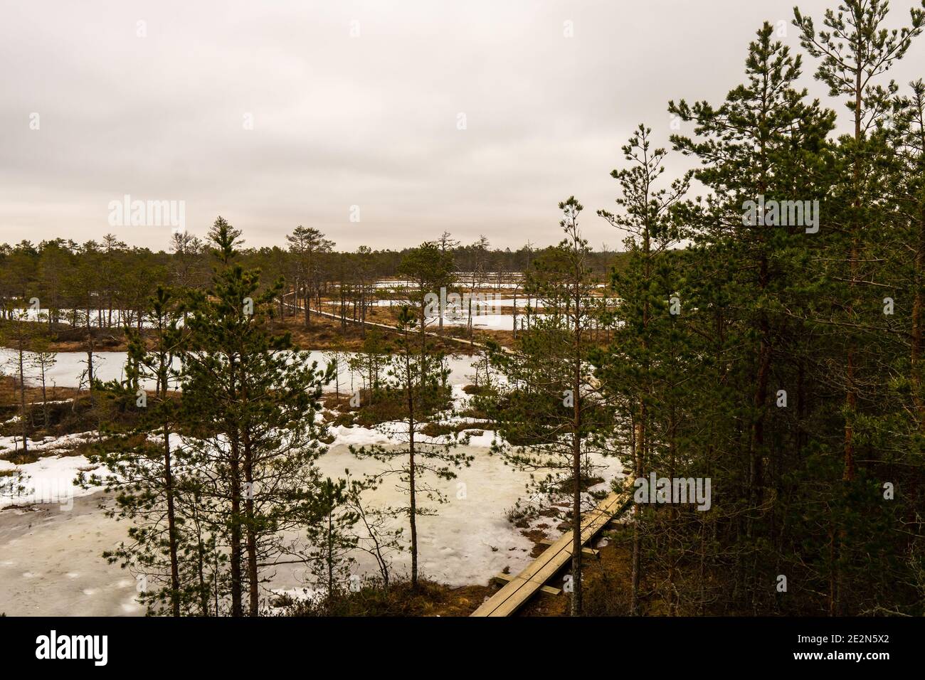 Viru bog trail hi-res stock photography and images - Alamy