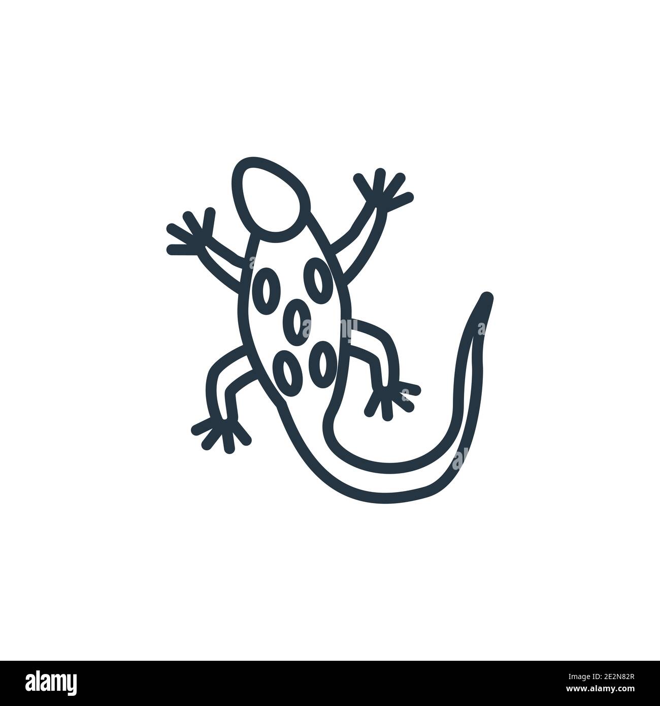 Gecko top view shape outline vector icon. Thin line black gecko top ...