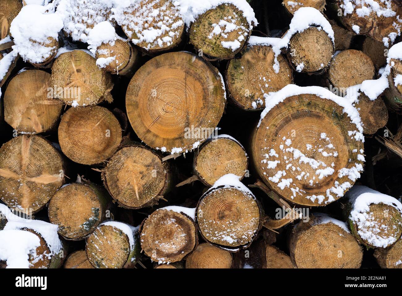 All been assembled together hi-res stock photography and images - Alamy