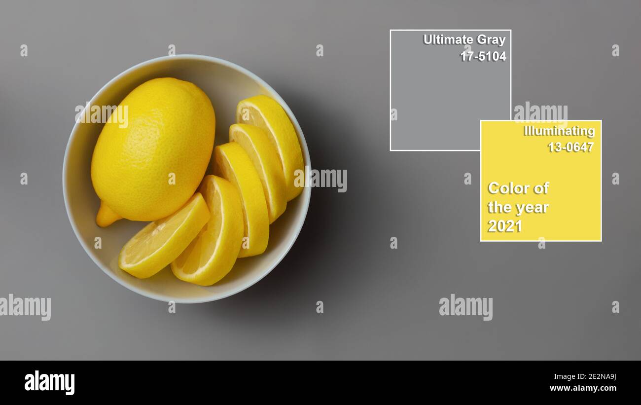 Yellow lemons in gray plate on gray background. Colors of the Year 2021 ...