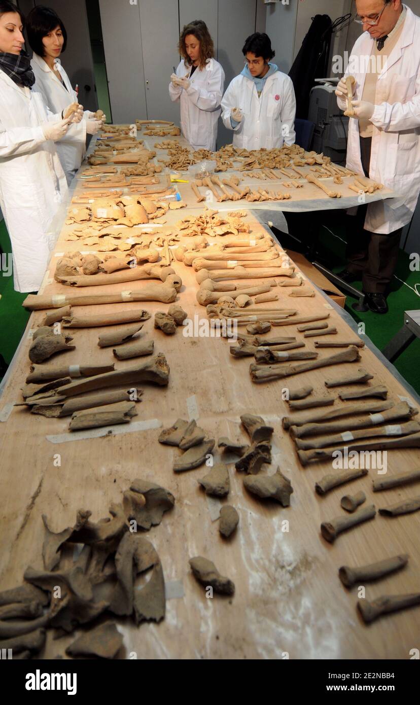 Italian medical anthropology professor Giorgio Gruppioni poses with the ...