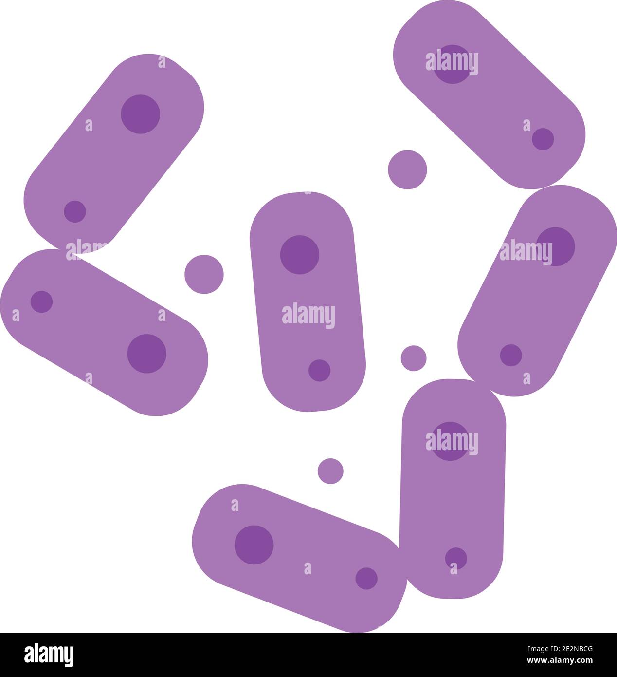 mycobacteria bacterias icon over white background, colorful design ...