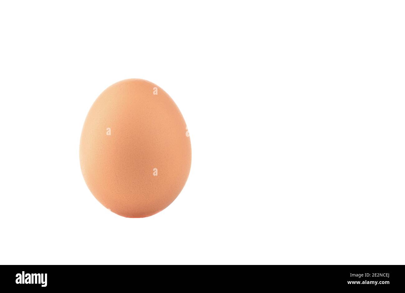 One chicken egg isolated on white background with place for text. Close ...