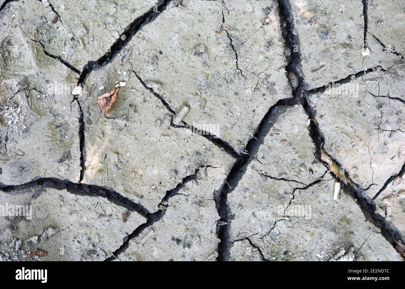 Close up of crack soil and muddy in the dry season textures, hot summer ...