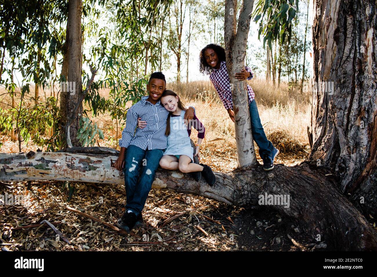 Teen love park tree hi-res stock photography and images - Alamy