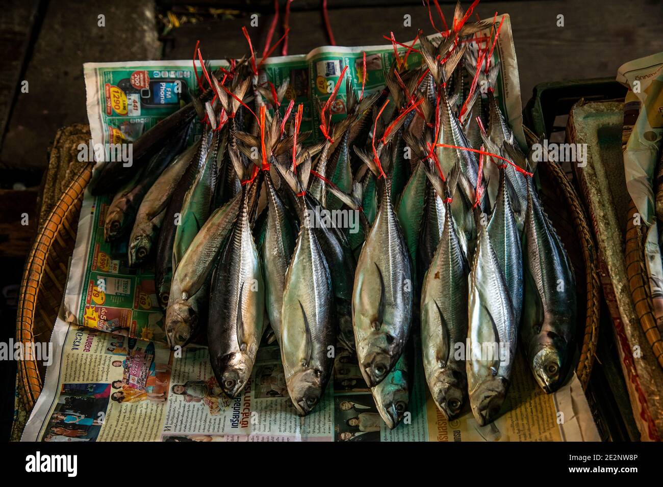 A Stack of Beautiful Blue Fish Rest in Basket at Damnoen Market Stock ...