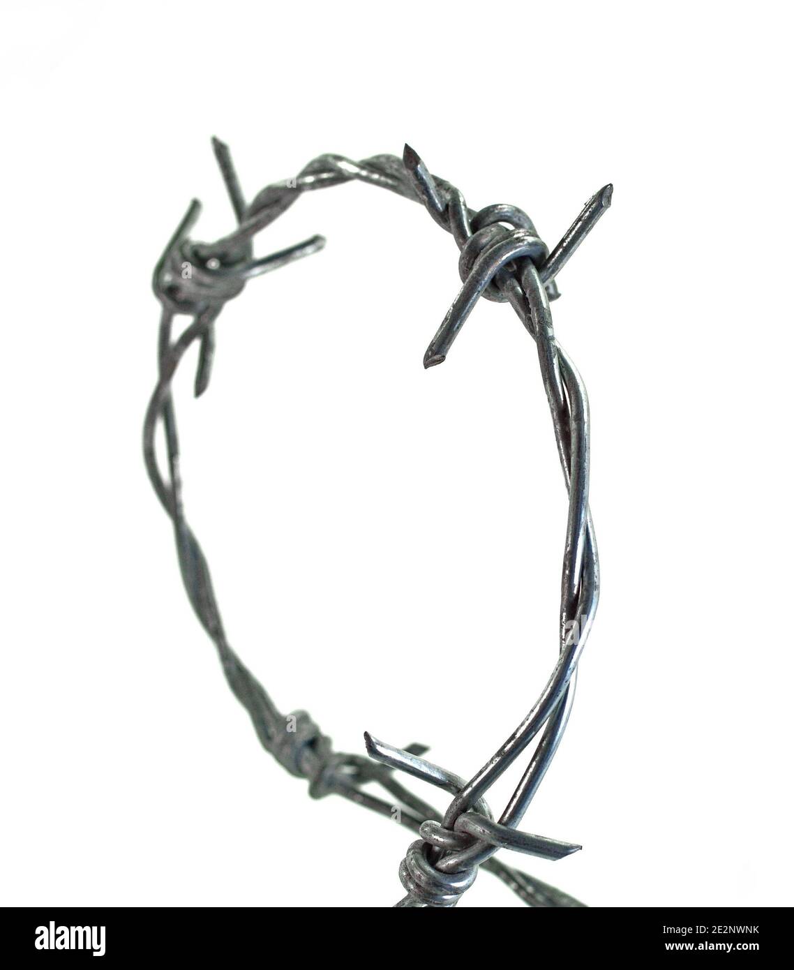 Barbed wire isolated on a white background Stock Photo - Alamy