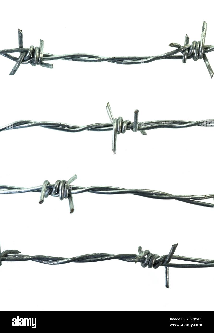 Barbed wire isolated on a white background Stock Photo - Alamy