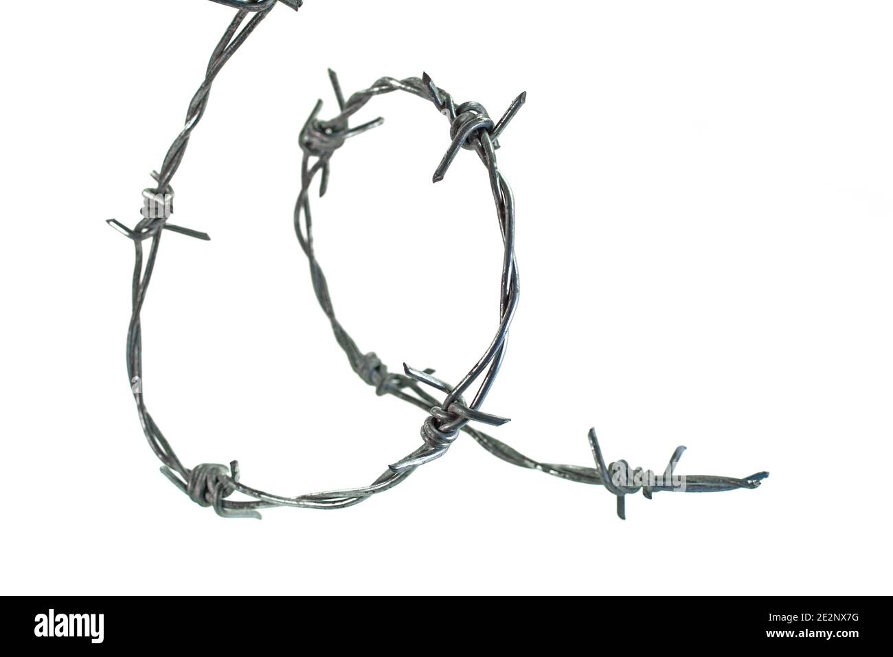 Barbed wire isolated on a white background Stock Photo - Alamy