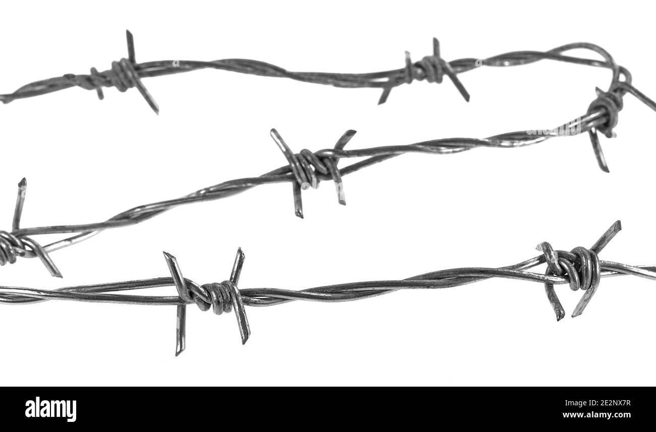 Barbed wire isolated on a white background Stock Photo - Alamy